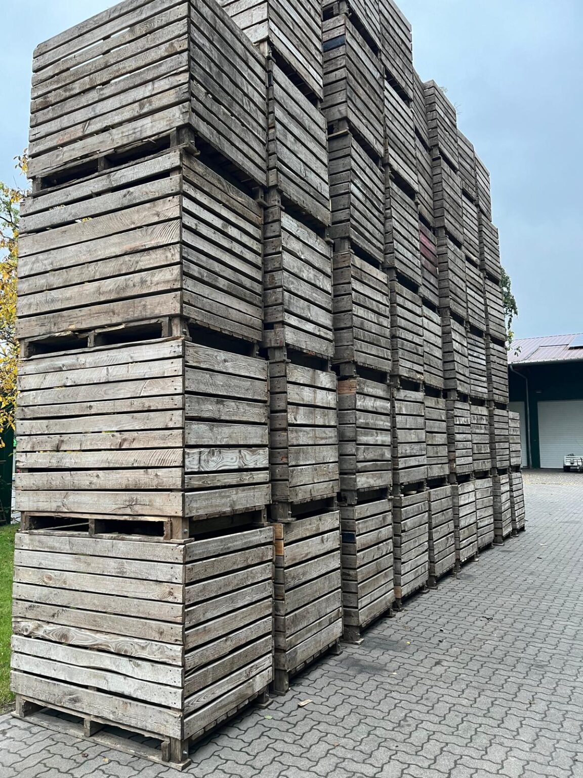 Used boxes - Naus Agriboxes